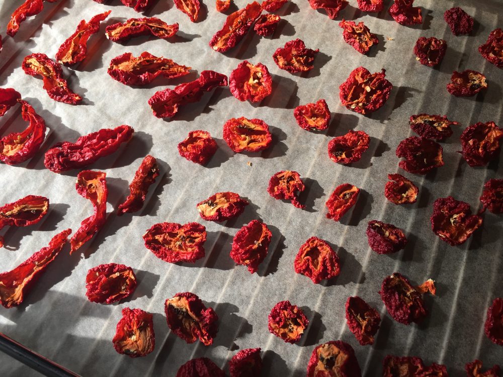 Chilischoten Trocknen Im Backofen