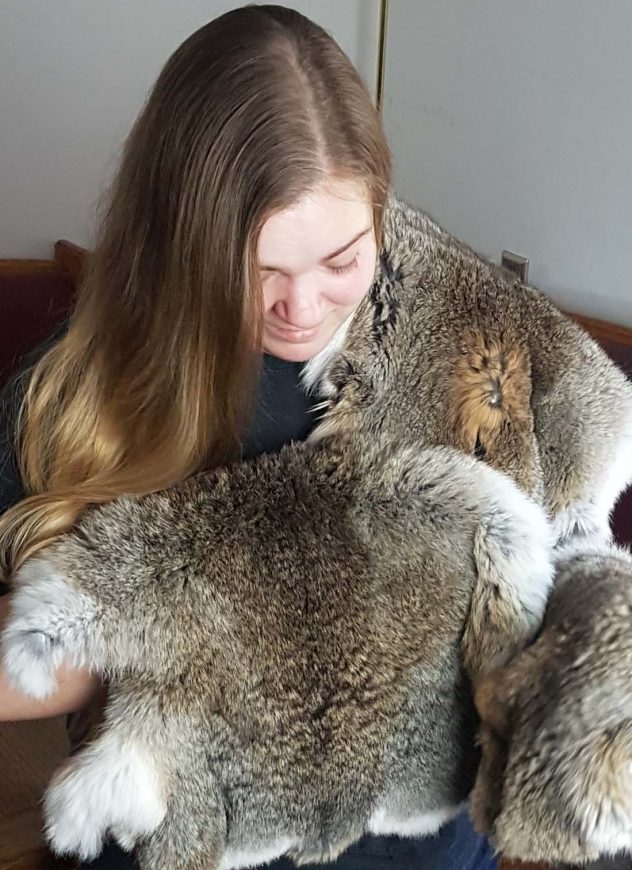 Anleitung zum Gerben von Fellen | Weißgerbung mit Alaun