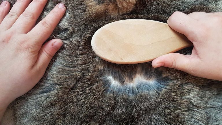 Anleitung zum Gerben von Fellen | Weißgerbung mit Alaun