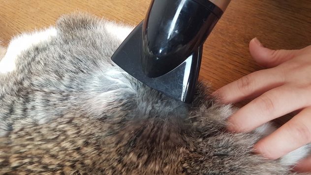 Anleitung zum Gerben von Fellen | Weißgerbung mit Alaun