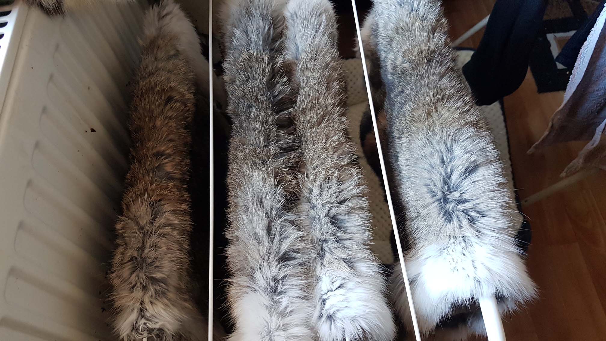 Anleitung zum Gerben von Fellen | Weißgerbung mit Alaun